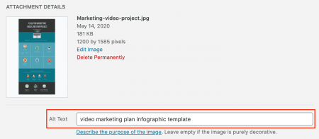 SEO Infographics and Its Hidden Power for Your Blog