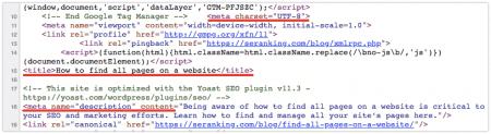 Must-Know HTML Tags for SEOs and Digital Marketers