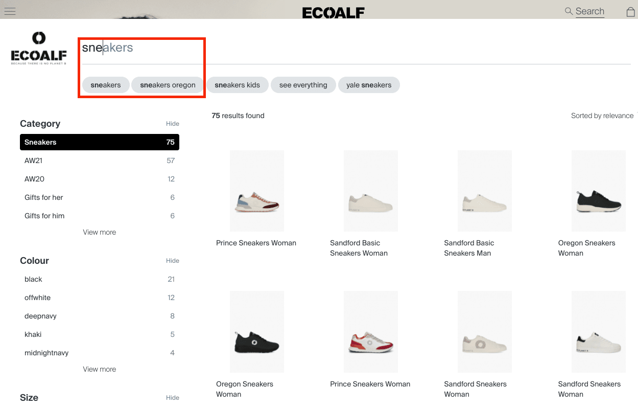 Internal Search Engine for Ecommerce
