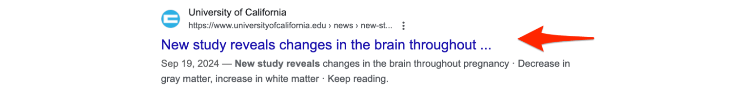 Meta Title and Description Tags in SEO: Best Practices