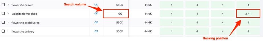 What is Search Visibility in SEO and Ways to Increase It