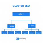 Cluster ¿Qué es y por qué es importante para el SEO?