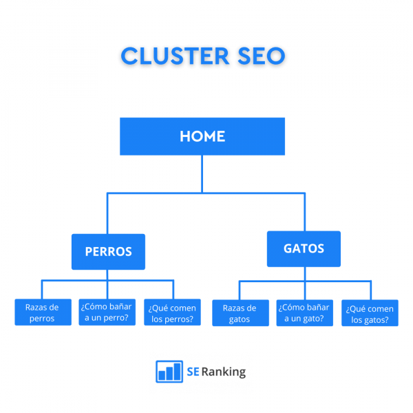 Cluster ¿Qué es y por qué es importante para el SEO?